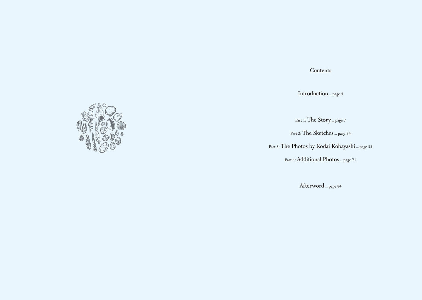 Ichiko Aoba Official Store | Windswept Adan "Dreams and Visions ...